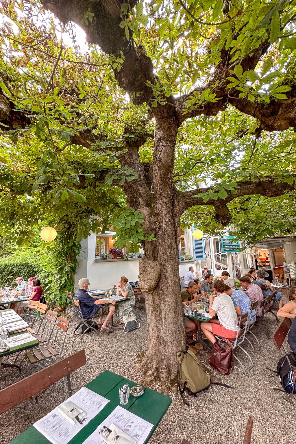 CAPITOL Restaurant & Bar - Obere Altstadt